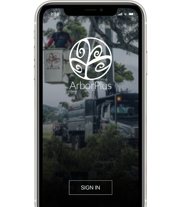 A Plus Tree, Inc | Leaders in Tree Care & Sustainability