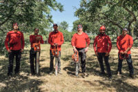 About Us | Meet the A Plus Tree Family - A Plus Tree
