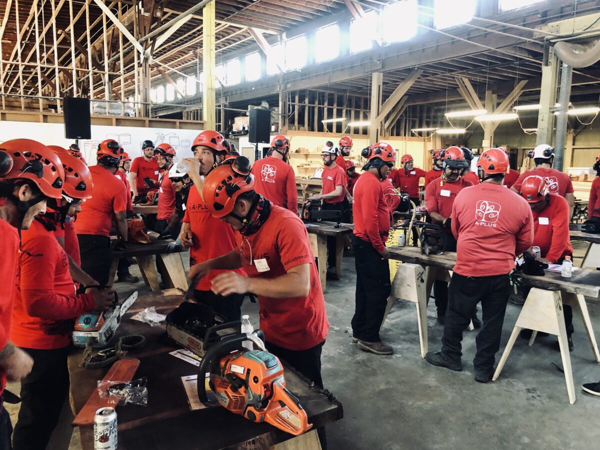 Safety, Training and Certifications | A Plus Tree