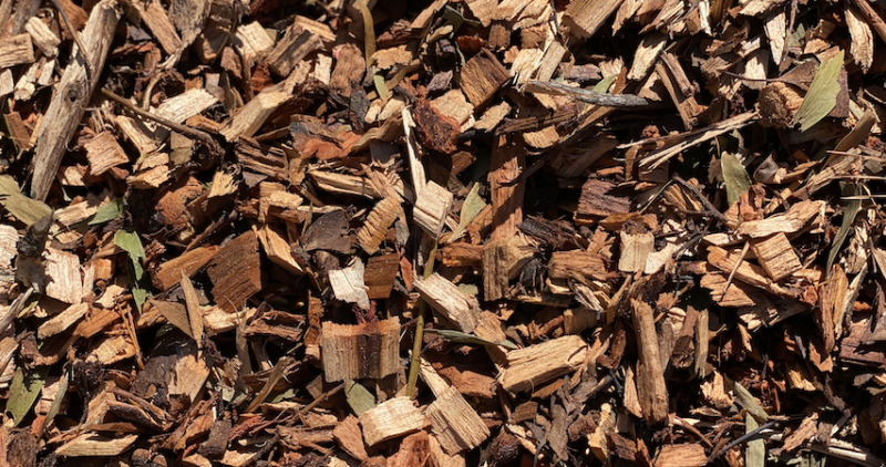 Arbor Mulch - sustainable tree care in Urban Forestry | A Plus Tree