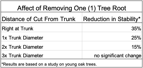 How Much of a Tree's Roots Can You Remove? - A Plus Tree